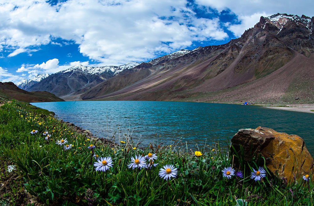 Bliss - Nature Works