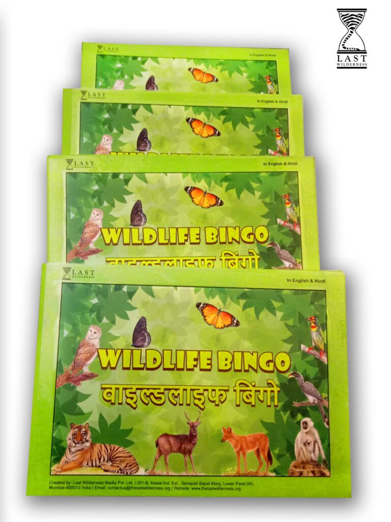 Wildlife Bingo Game - Nature Works