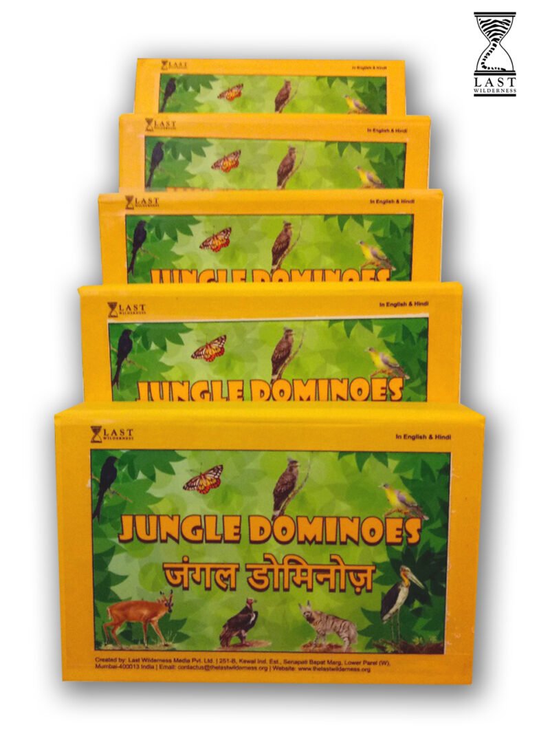 Jungle Dominoes Game - Nature Works