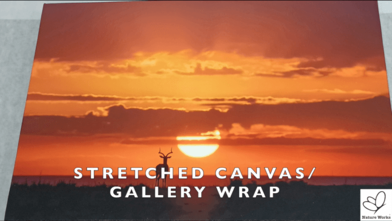 MAKING OF A GALLERY WRAP - Nature Works